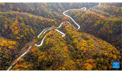 View of scenic road in Hanzhong, NW China - Global Times