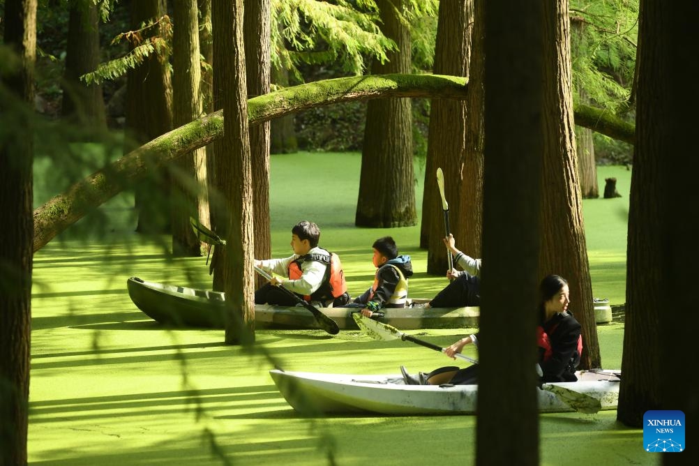 Tourists enjoy waterlogged forest in Qingshan Lake scenic spot in Hangzhou - Global Times