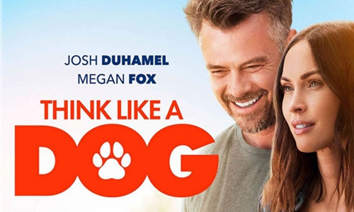 Culture Beat: China-US co-produced film 'Think Like A Dog' hits screen ...