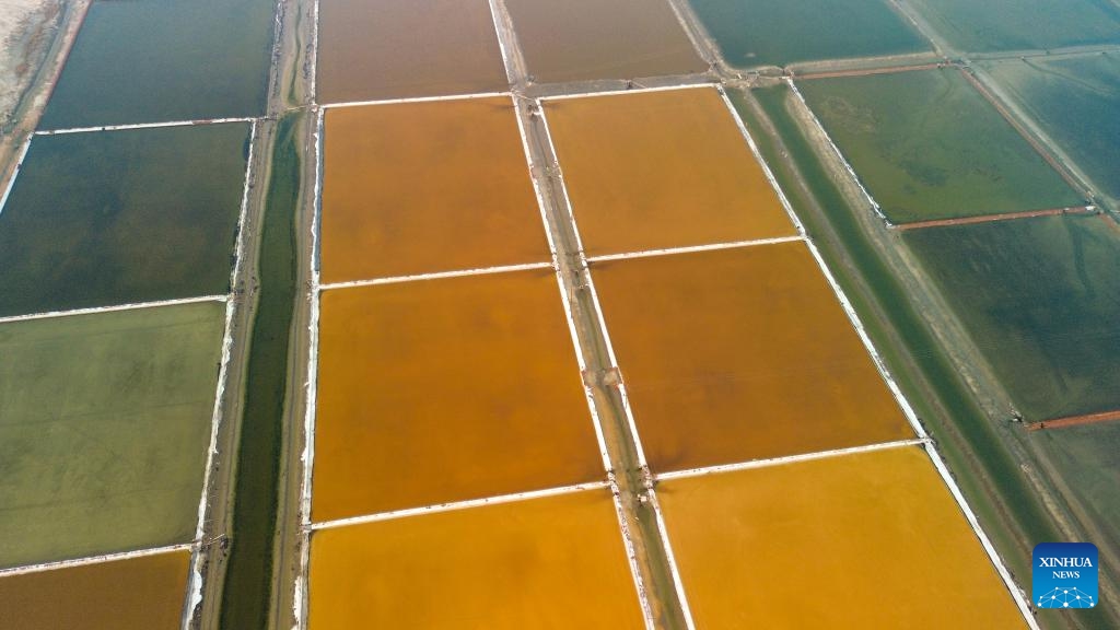 Scenery of salt pans in Yingkou, Liaoning - Global Times