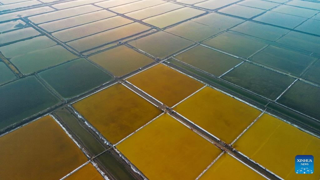 Scenery of salt pans in Yingkou, Liaoning - Global Times