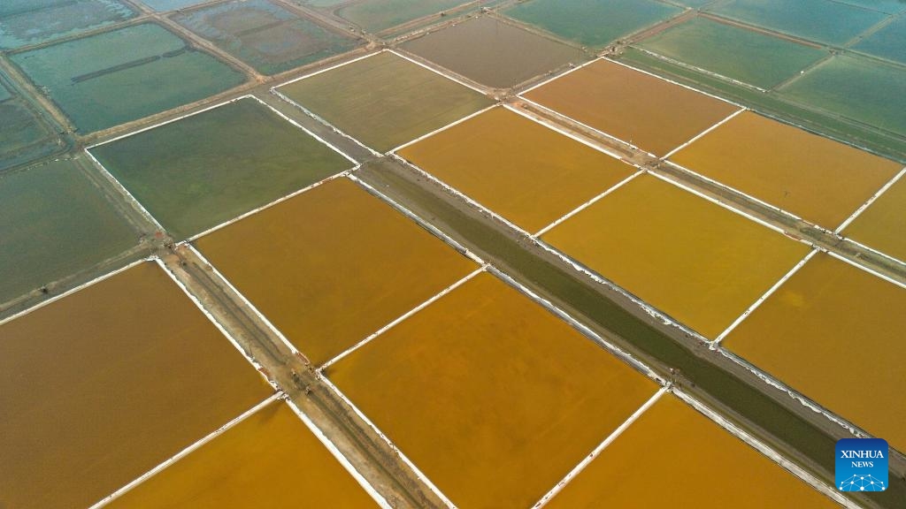 Scenery of salt pans in Yingkou, Liaoning - Global Times