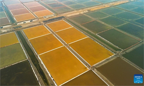 Scenery of salt pans in Yingkou, Liaoning - Global Times