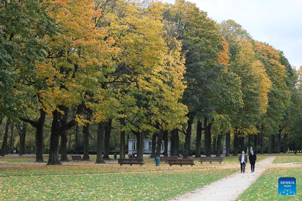 Autumn scenery of Brussels, Belgium - Global Times