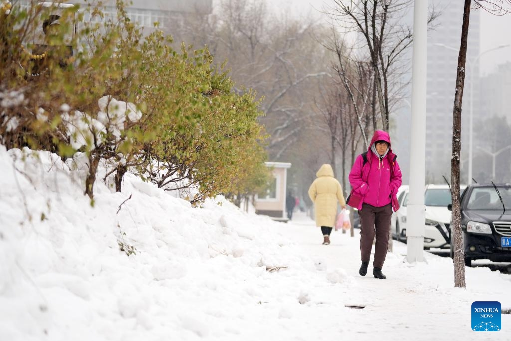 View of snow-covered Harbin in NE China - Global Times