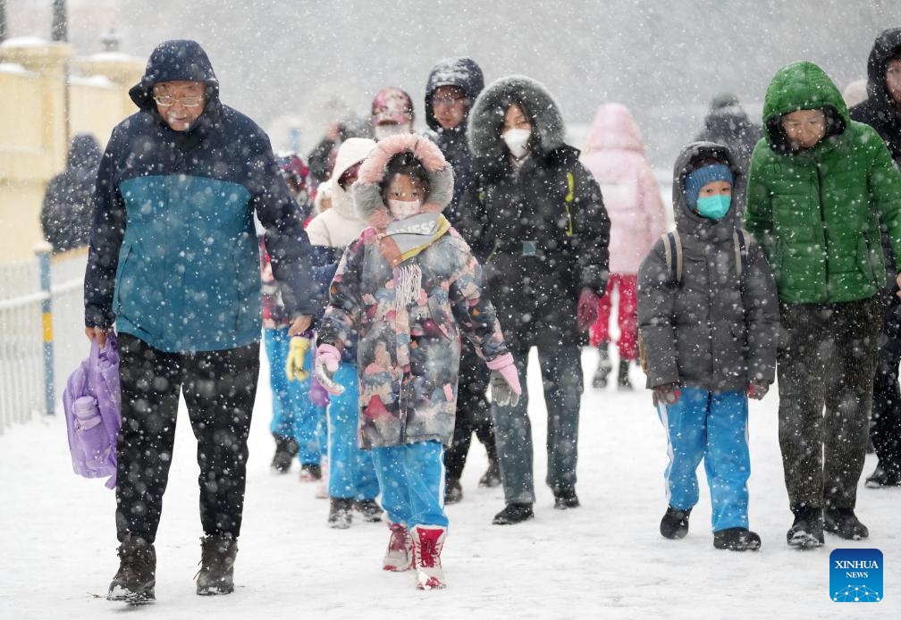 Heavy snow hits Harbin in NE China - Global Times