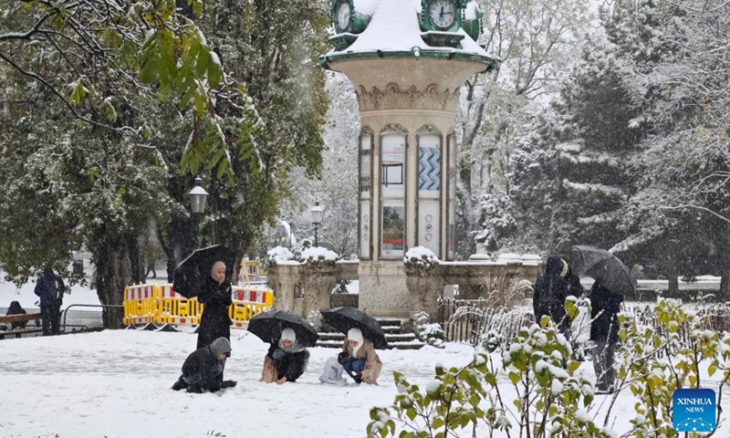 Snowfall in Vienna, Austria - Global Times