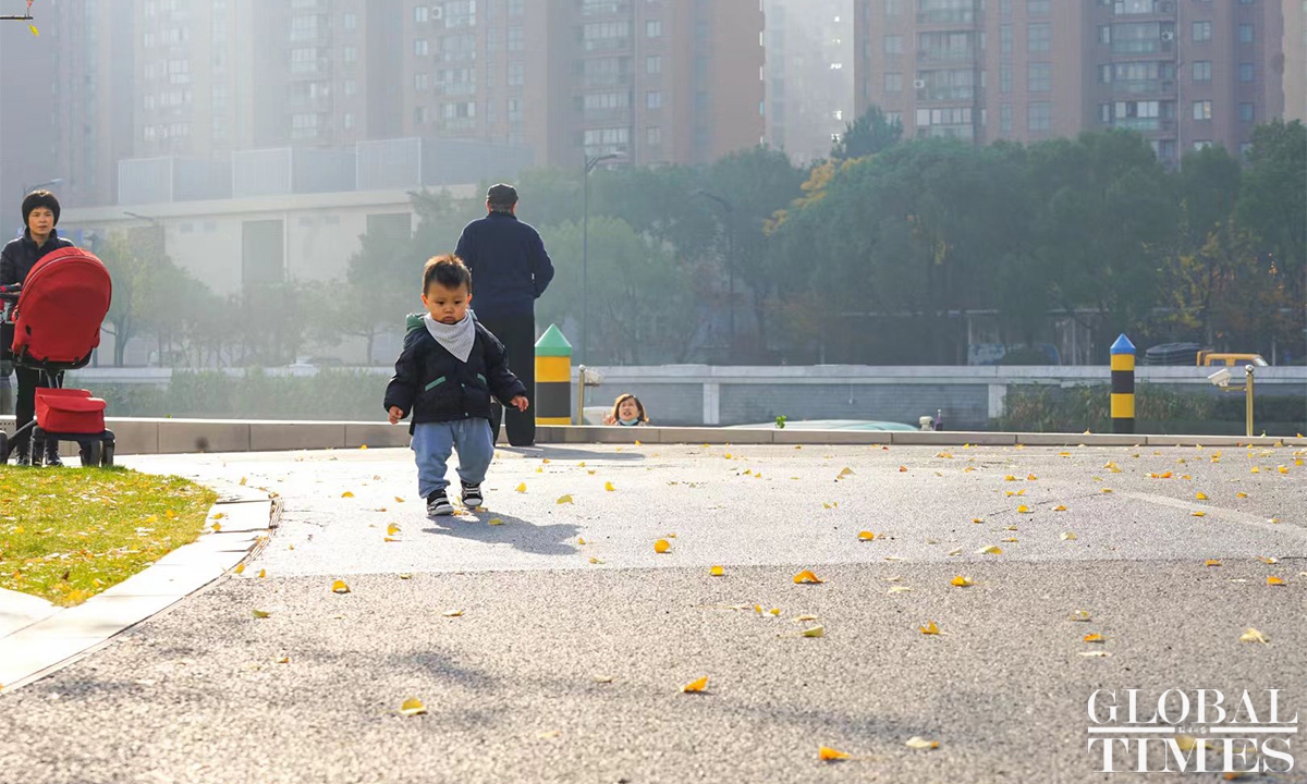 Shanghai lists 41 landscape streets with fallen leaves - Global Times