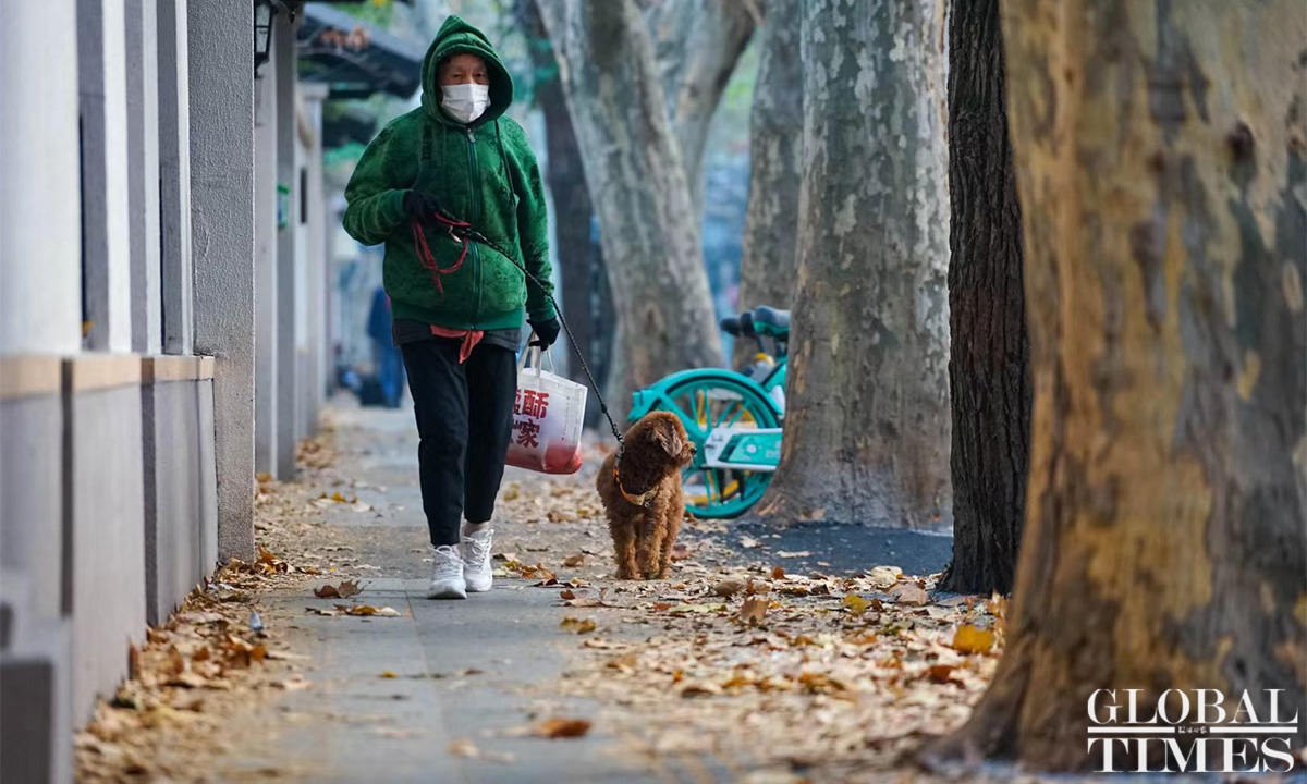 Shanghai lists 41 landscape streets with fallen leaves - Global Times