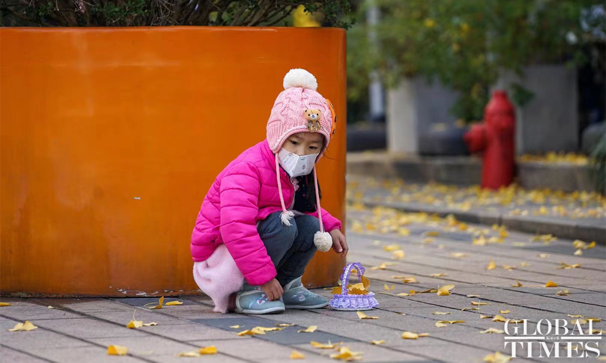 Shanghai lists 41 landscape streets with fallen leaves - Global Times