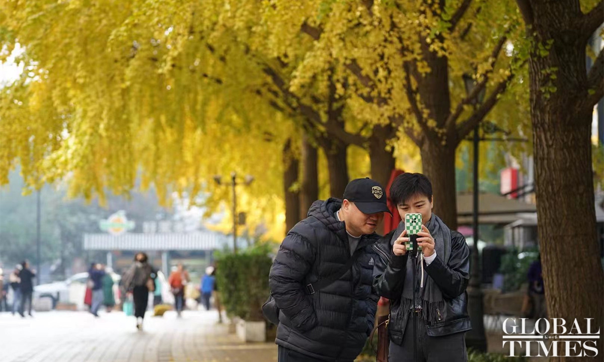 Shanghai lists 41 landscape streets with fallen leaves - Global Times