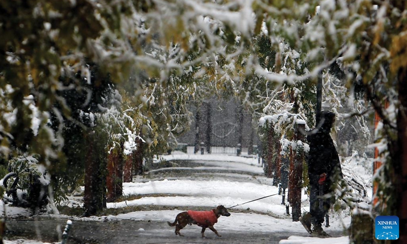 Romania greets first snowfall of this year's winter - Global Times
