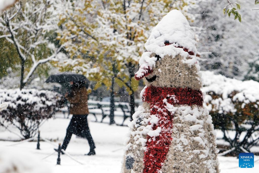 Romania greets first snowfall of this year's winter - Global Times
