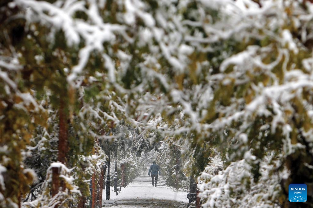 Romania greets first snowfall of this year's winter - Global Times