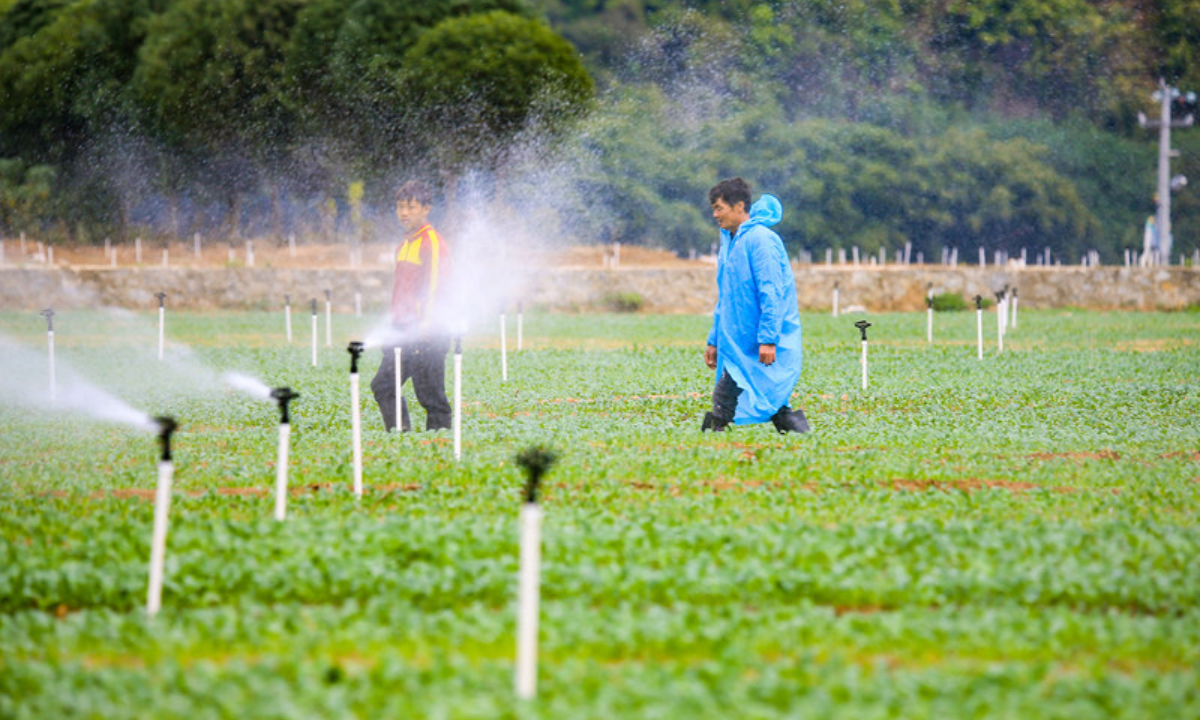 Farmers work at vegetable production demonstration base in S China's ...