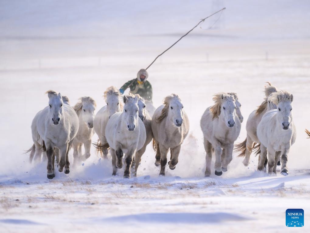 Horsemen train horses on snow-covered grassland in China's Inner ...