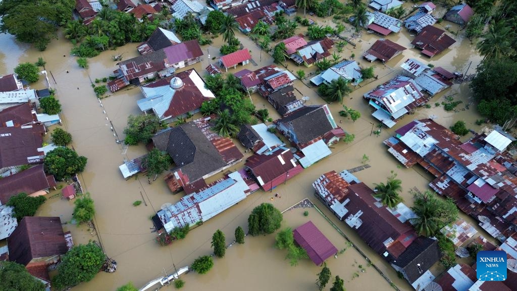 Aftermath of flood in Indonesia - Global Times