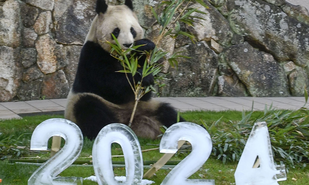 Welcoming 2024 - Global Times