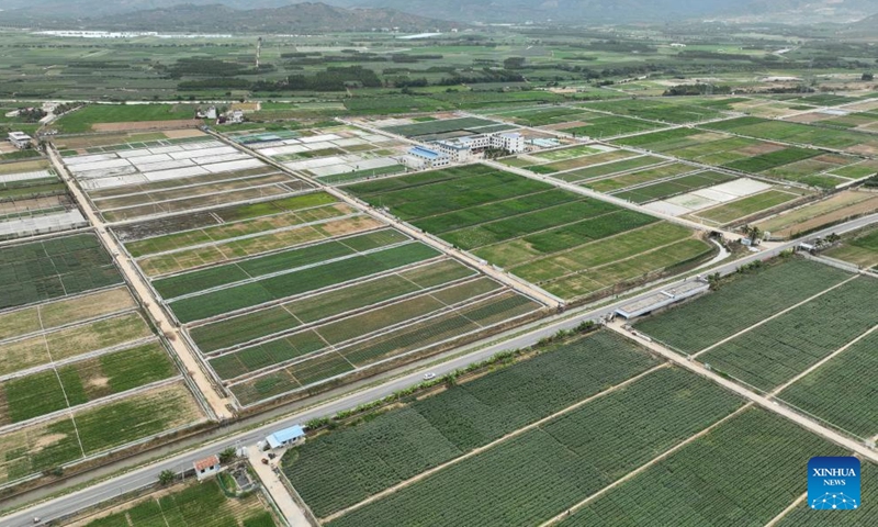 National seed breeding base in Hainan - Global Times
