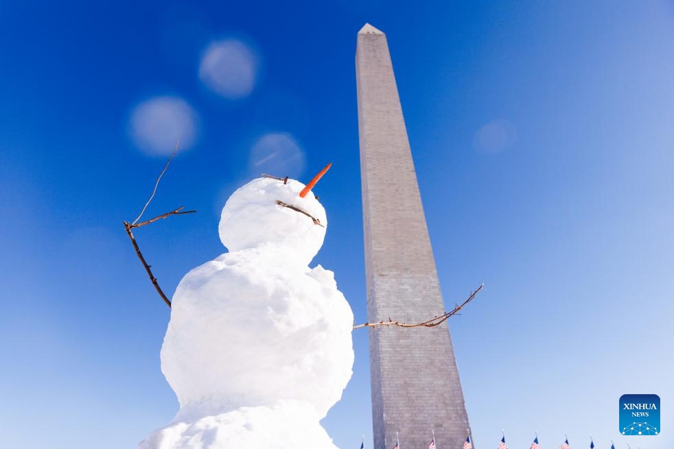 Snow scenery of Washington, U.S. - Global Times