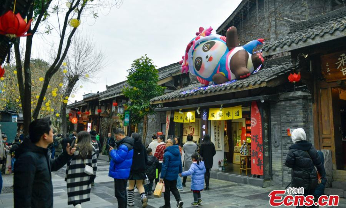 'Panda city' welcomes Year of the Dragon - Global Times