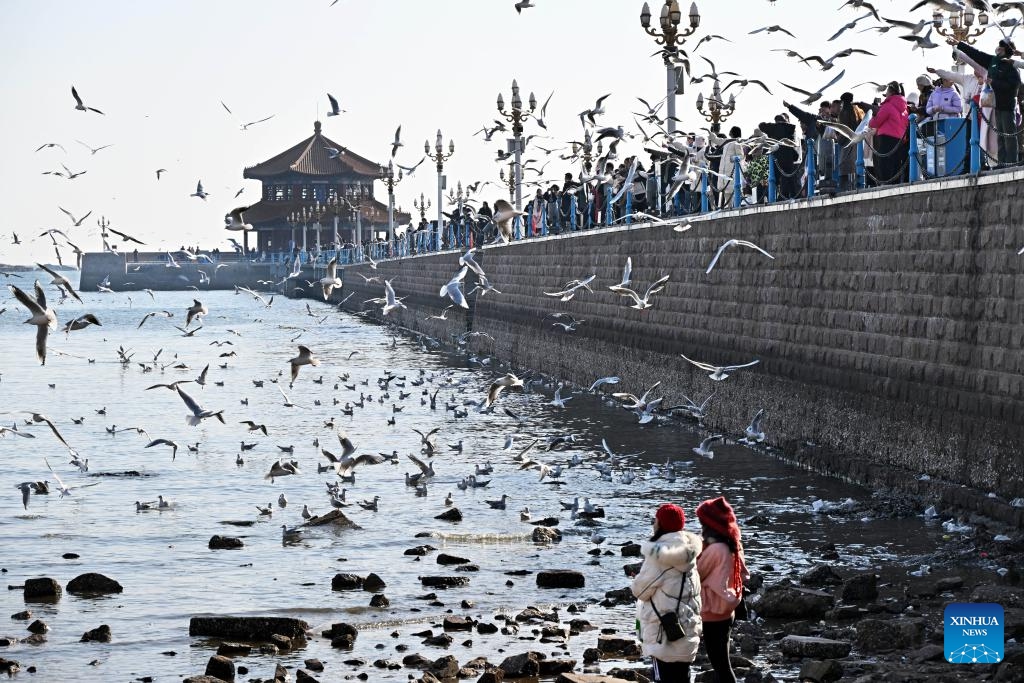 Tourists visit Zhanqiao Bridge scenic spot in east China - Global Times