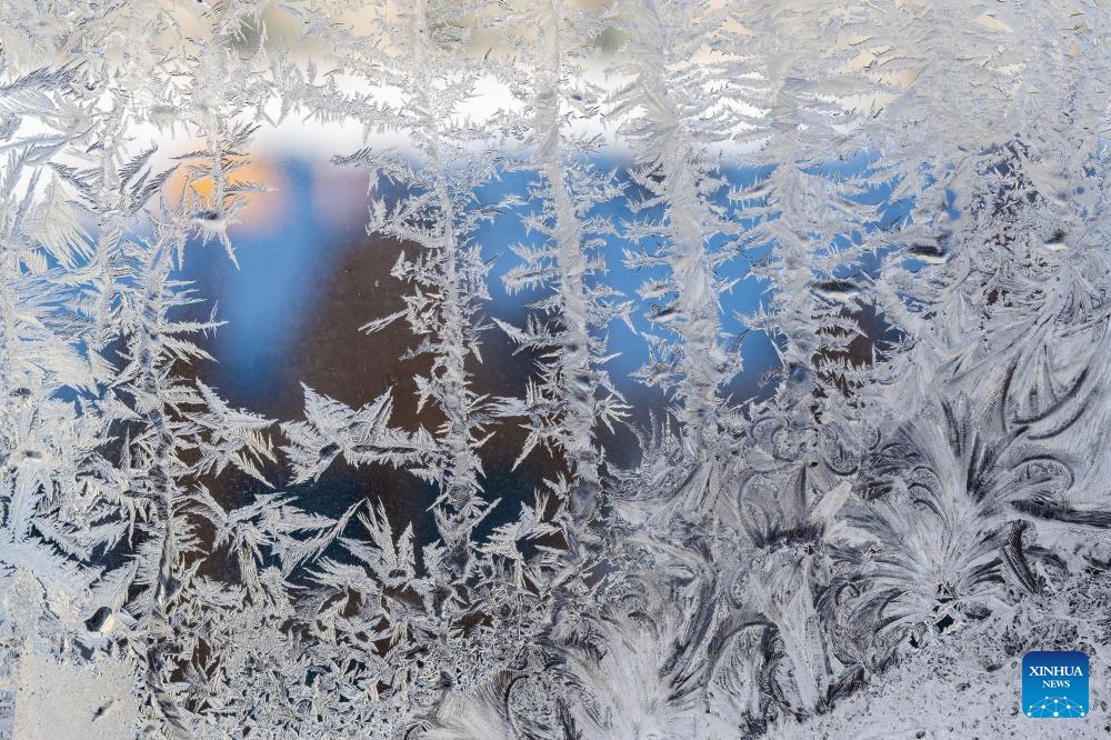Windows with frost pattern pictured in Heihe, NE China - Global Times