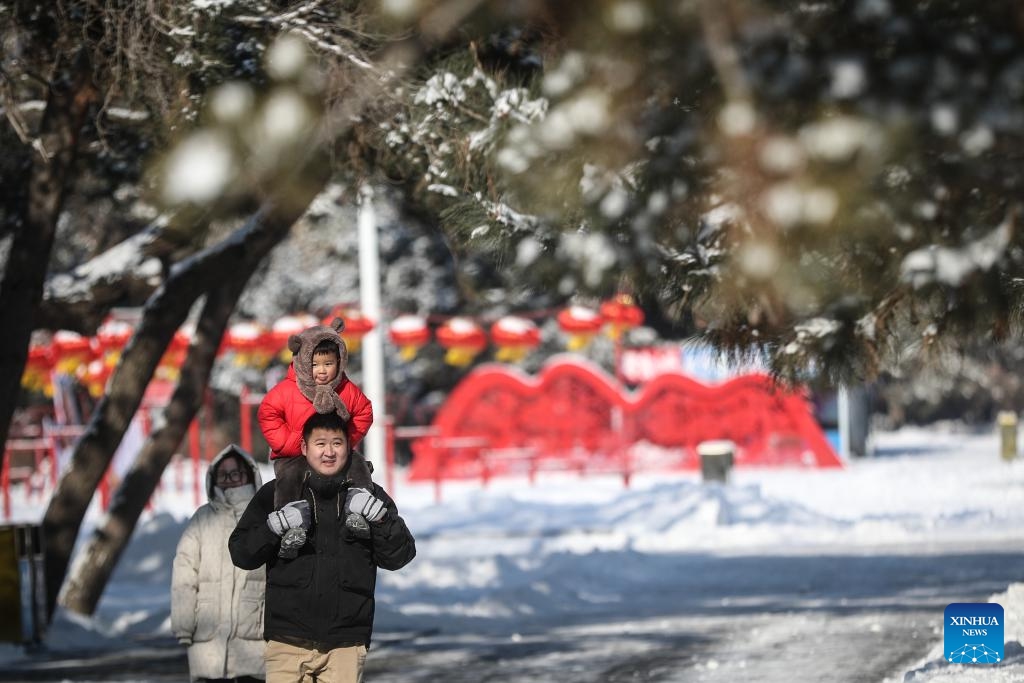 Snow scenery in Shenyang, NE China - Global Times