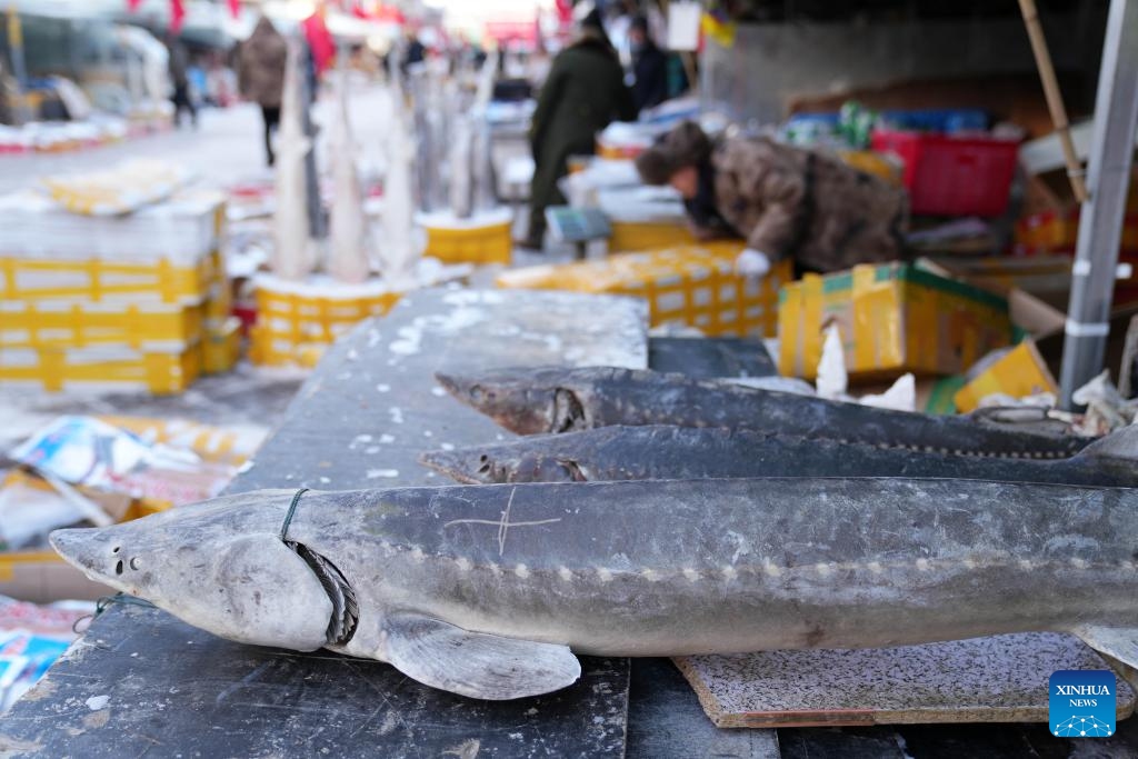 Fish market enters peak sales season in Fuyuan, NE China - Global Times