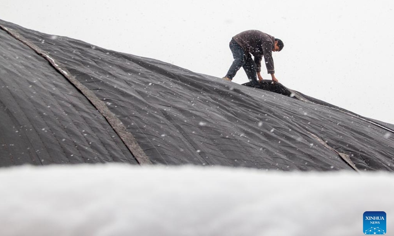 China Focus: Snowfall disrupts transport amid China's travel rush ...