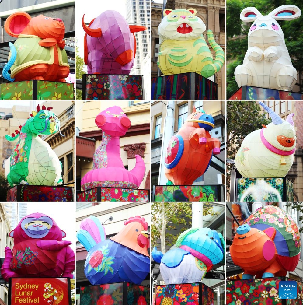 Zodiac lanterns infused with Spring Festival memory of Chinese ...