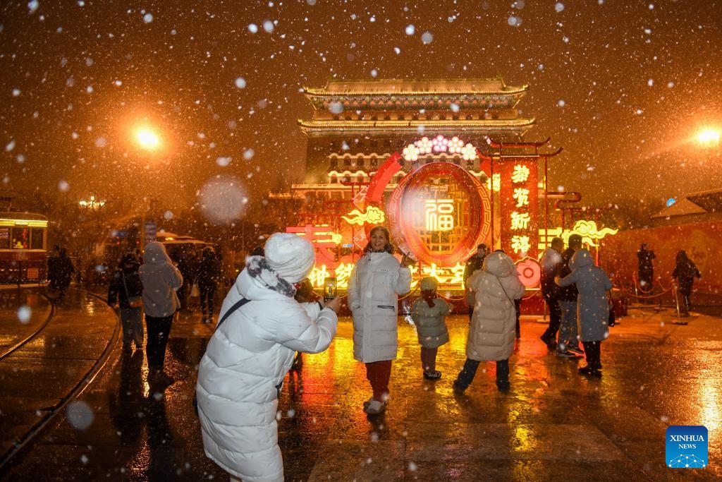 Snowfall hits Beijing - Global Times