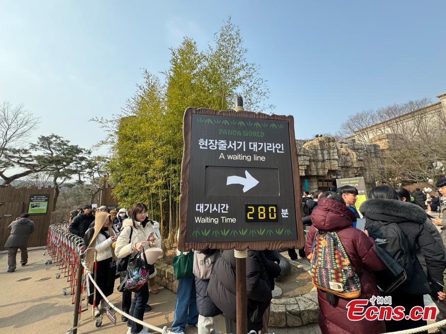 Beloved giant panda Fu Bao makes last public appearance in S Korea ...