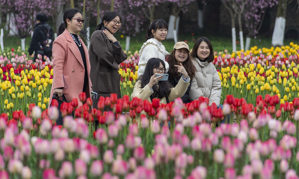 Early spring bloom - Global Times