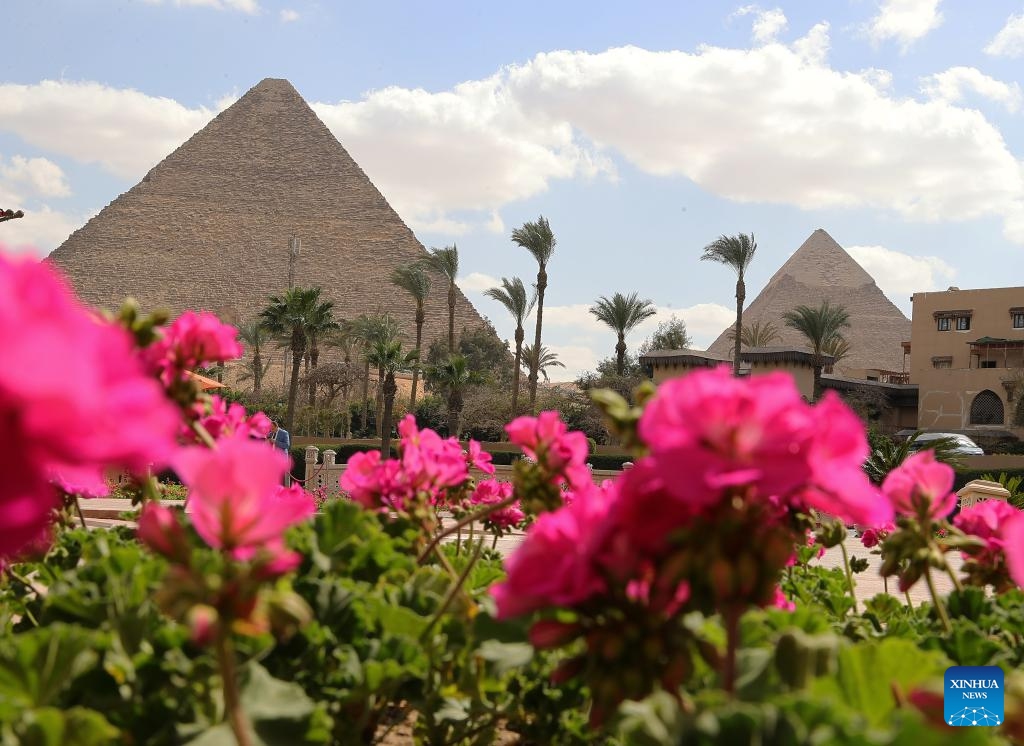 Spring scenery of Giza, Egypt - Global Times