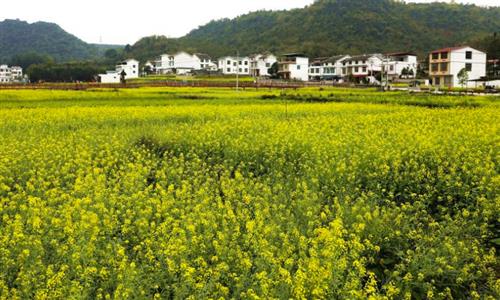 Spring view of Guangxi, S China - Global Times