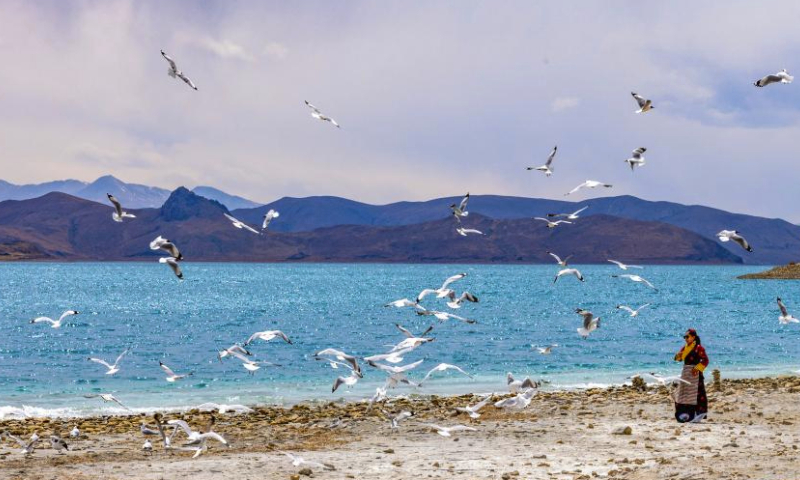 Scenery of Yamzbog Yumco Lake in SW China's Xizang - Global Times