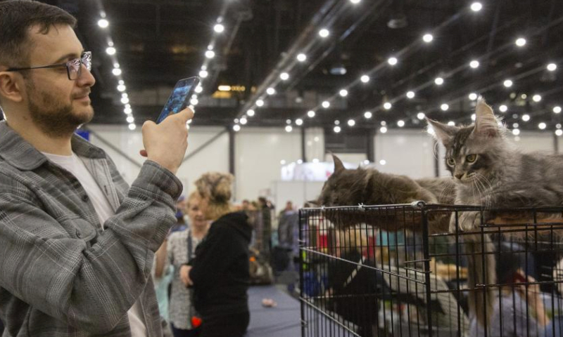 Annual spring pet show held in Russia - Global Times