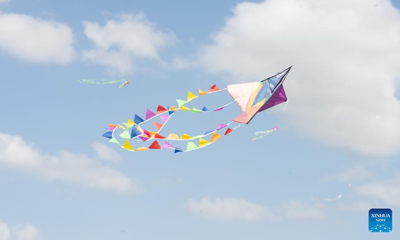 Annual ABC Kite Fest held in Austin, Texas - Global Times