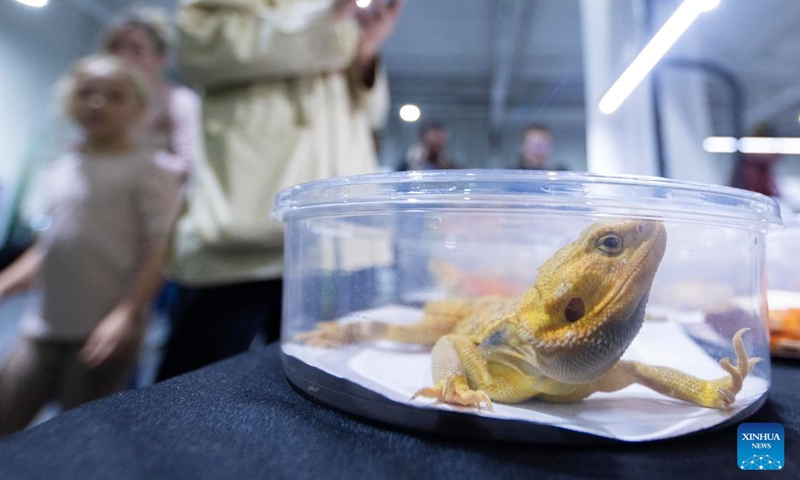 2024 Reptile and Plant Expo held in Canada - Global Times