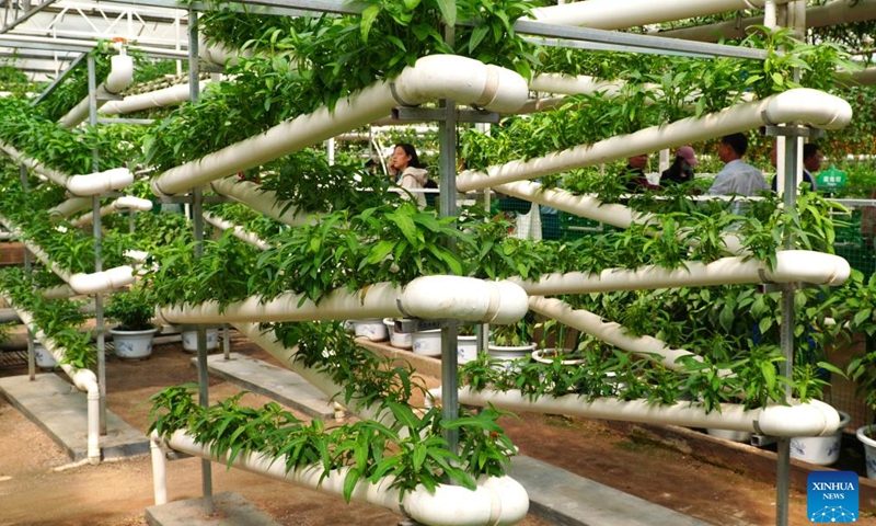 25th China (Shouguang) Int'l Vegetable Science and Technology Expo ...