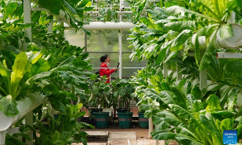 25th China (Shouguang) Int'l Vegetable Science and Technology Expo ...