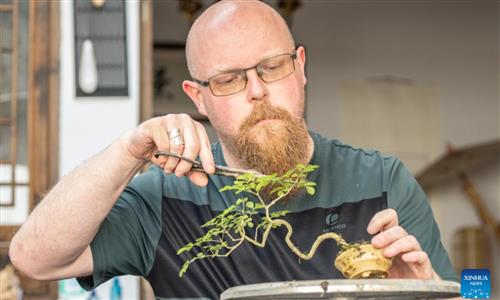Canadian bonsai artist's enduring passion for Chinese bonsai heritage ...