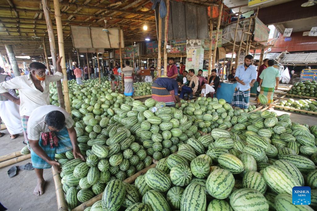 Harvest season of watermelon in full swing in Bangladesh - Global Times