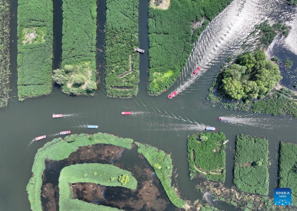 Water quality of Baiyangdian Lake in north China improves after ...