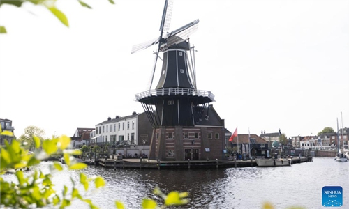 National Mill Day celebrated in Haarlem, the Netherlands - Global Times
