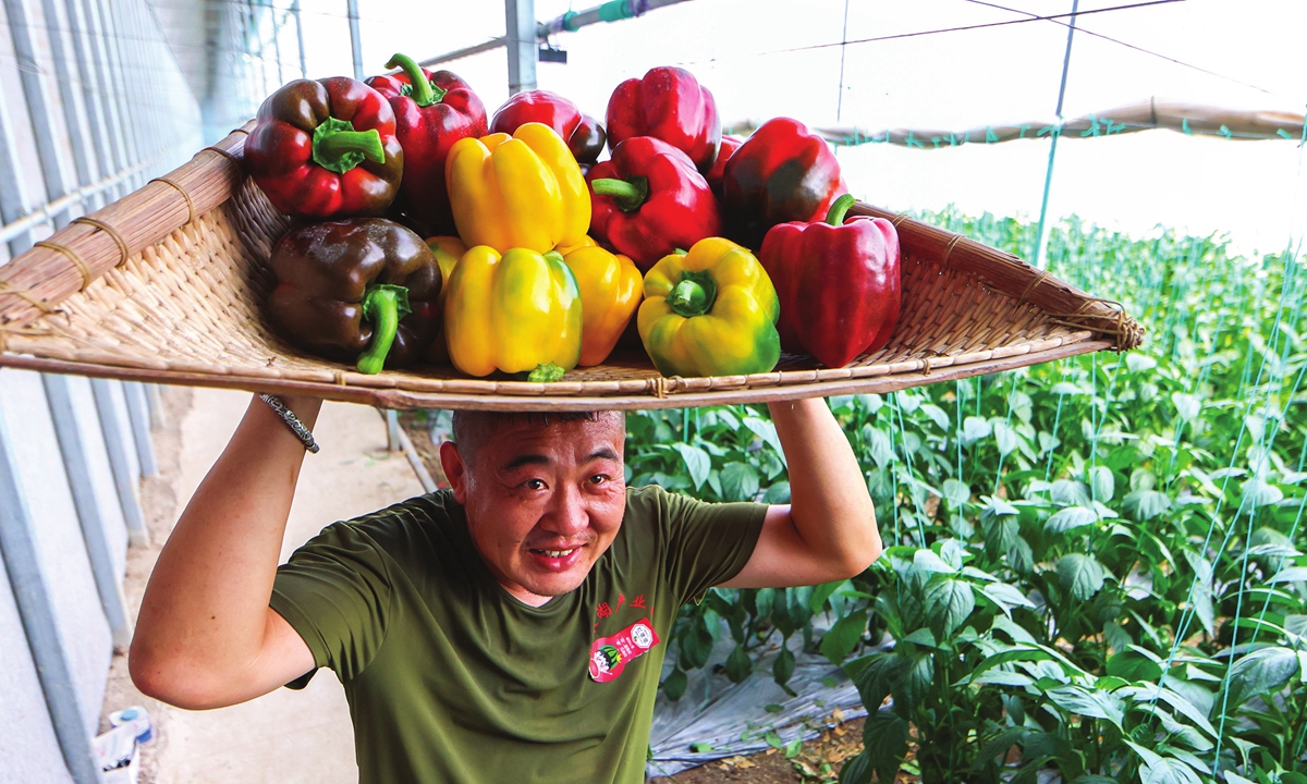 Harvest time - Global Times
