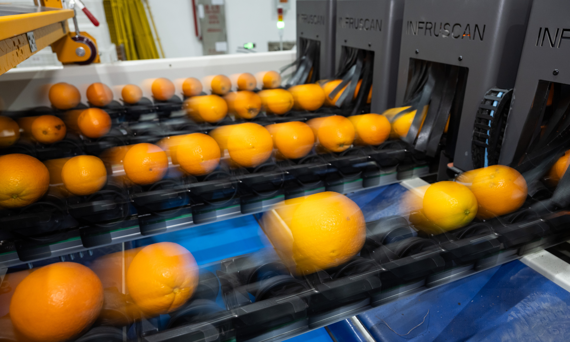 Oranges are sorted by AI and transported by drones - Global Times
