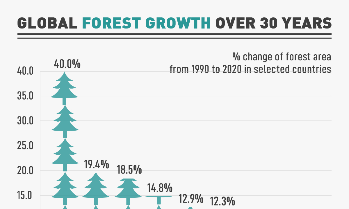 Global forest growth over 30 years - Global Times