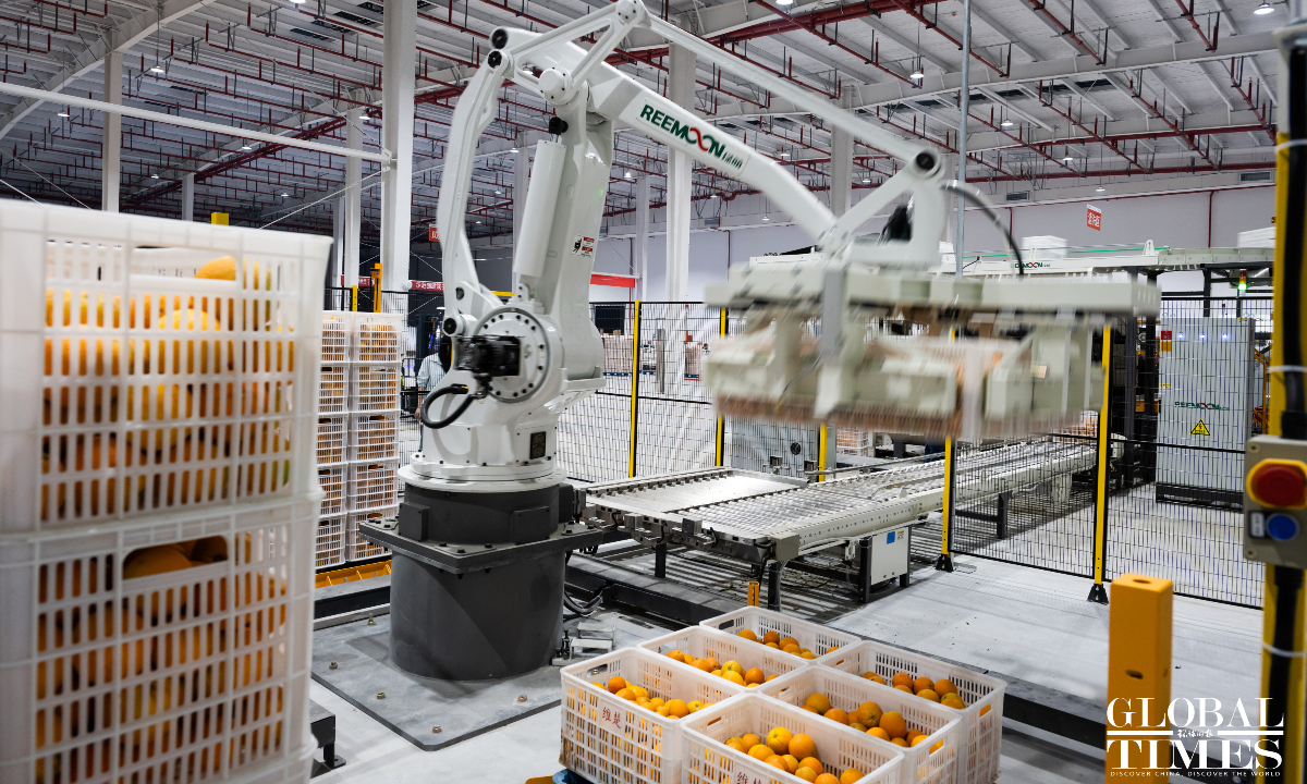 Oranges are sorted by AI and transported by drones - Global Times